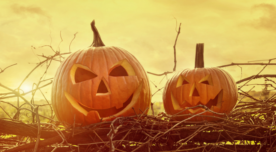 Reflection On “The Big Picture” Horror Movie Movie Draft – Stanko's Stance
